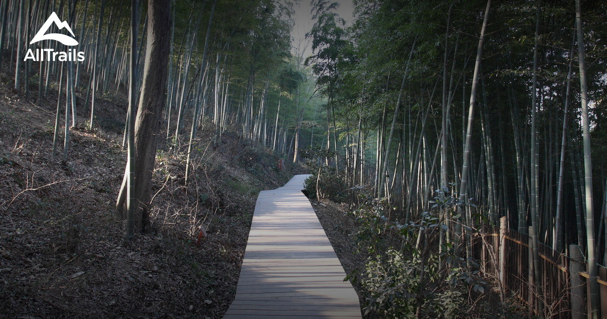 Best Trails in Shanghai She Mountain National Forest Park - Shanghai ...