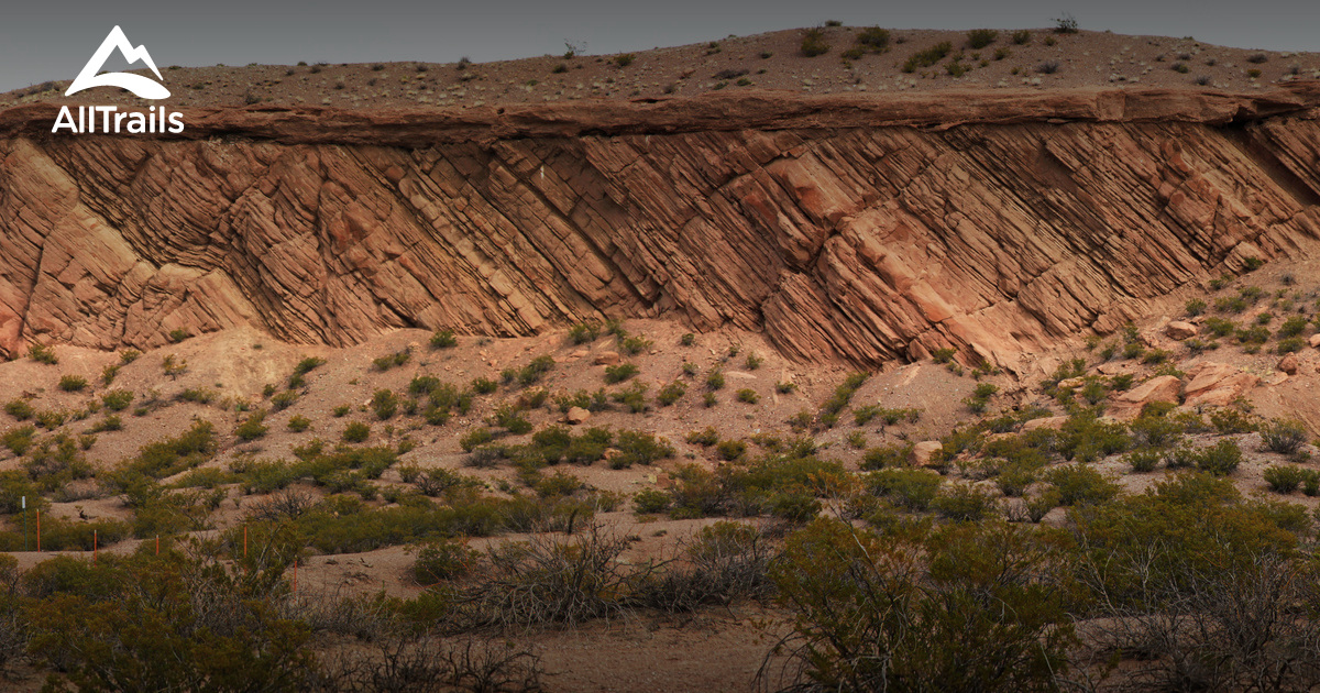 Best hikes and trails in Sevilleta National Wildlife Refuge | AllTrails