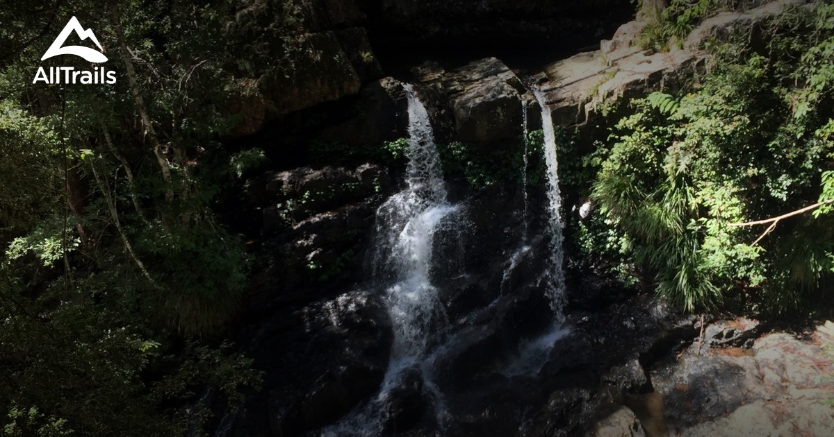 Die Besten moderaten Routen in Bindarri-Nationalpark | AllTrails