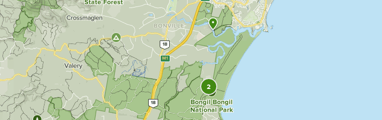 Best Trails in Bongil Bongil National Park | AllTrails