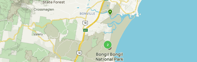 Best Hikes and Trails in Bongil Bongil National Park | AllTrails