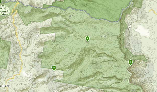 Best Trails in Border Ranges National Park - New South Wales, Australia ...