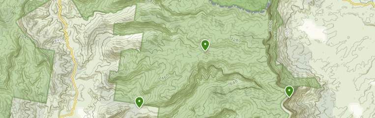 Best Trails in Border Ranges National Park - New South Wales, Australia ...