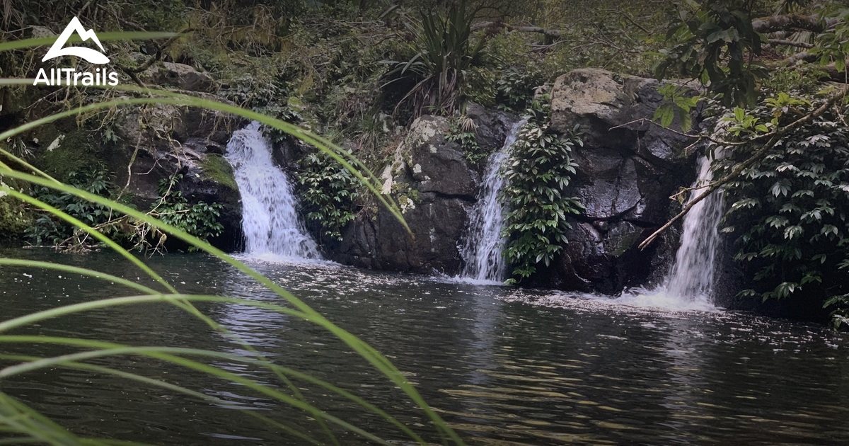 Best waterfall trails in Border Ranges National Park | AllTrails