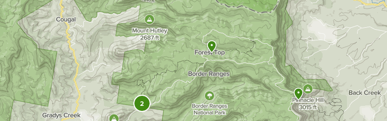 Best trails in Border Ranges National Park, Australia | AllTrails