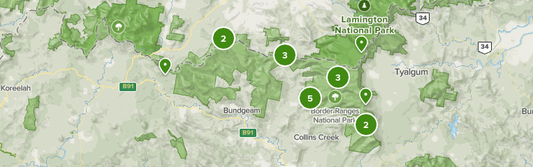 Best 10 Trails in Border Ranges National Park | AllTrails