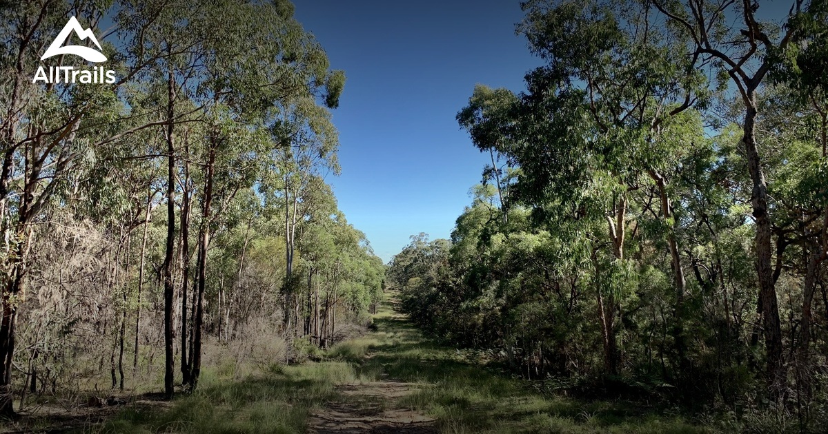 Best Trails in Cattai National Park - New South Wales, Australia ...
