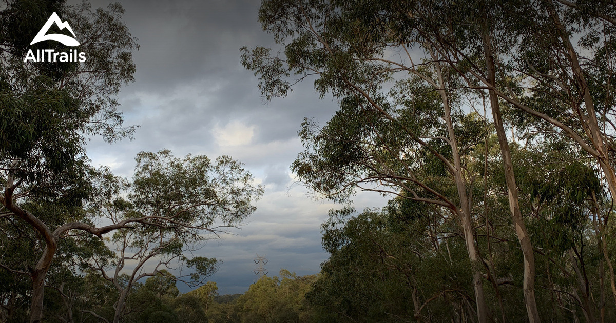 Best hikes and trails in Cattai National Park | AllTrails