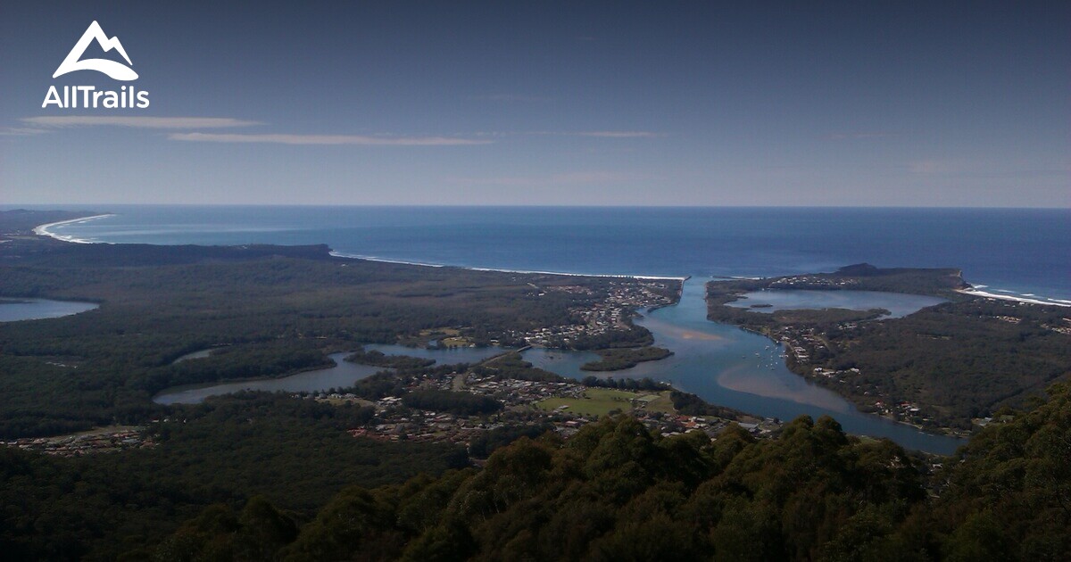 Best forest trails in Dooragan National Park | AllTrails
