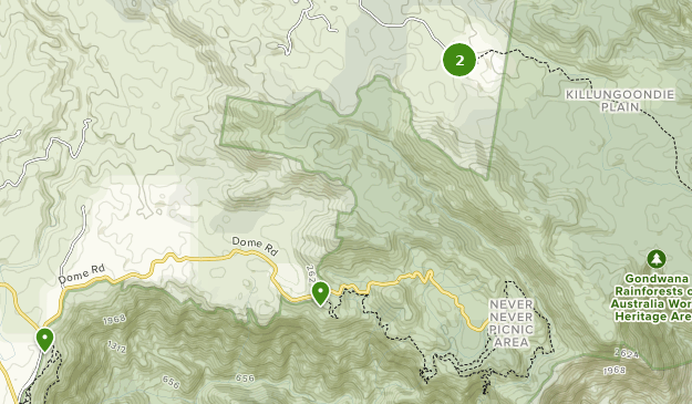 Best Trails in Dorrigo National Park - New South Wales, Australia ...