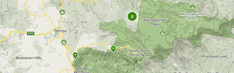 Best trails in Dorrigo National Park, Australia | AllTrails