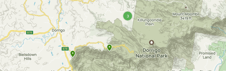 Best Hikes and Trails in Dorrigo National Park | AllTrails