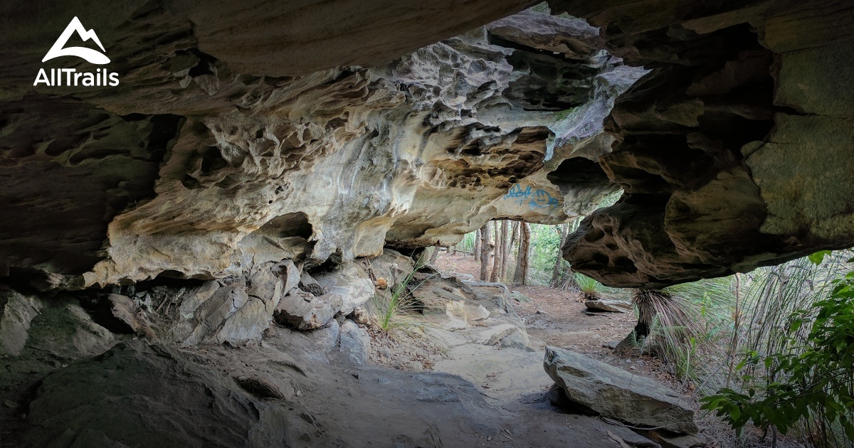 Best Trails in Lane Cove National Park - New South Wales, Australia ...