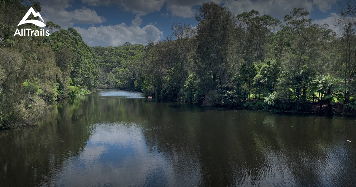 Best Trails in Lane Cove National Park - New South Wales, Australia ...