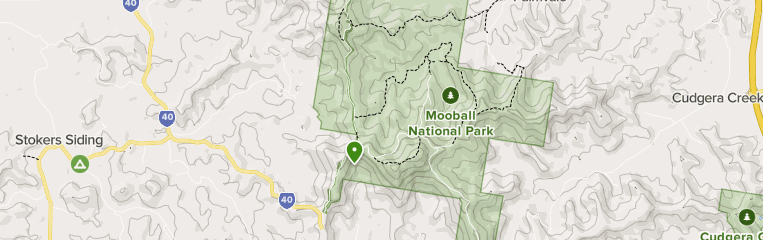 Best 10 Trails in Mooball National Park | AllTrails