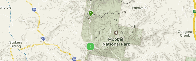 Best Hikes and Trails in Mooball National Park | AllTrails