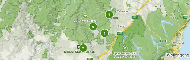 Nattai National Park – 10 najlepszych szlaków | AllTrails