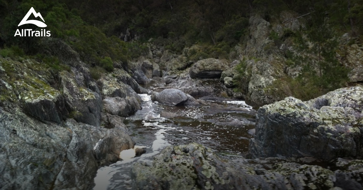10 Best hikes and trails in Oxley Wild Rivers National Park | AllTrails