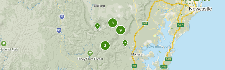 Best 10 Trails in Watagans National Park | AllTrails