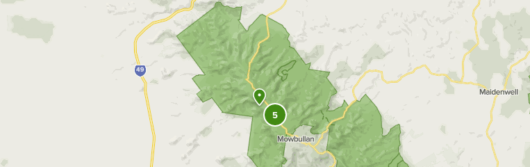 Best 10 Trails in Bunya Mountains National Park | AllTrails