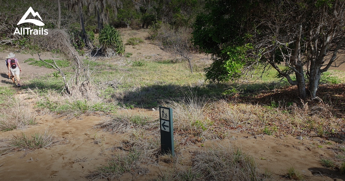 Best Trails in Curtis Island National Park - Queensland, Australia ...