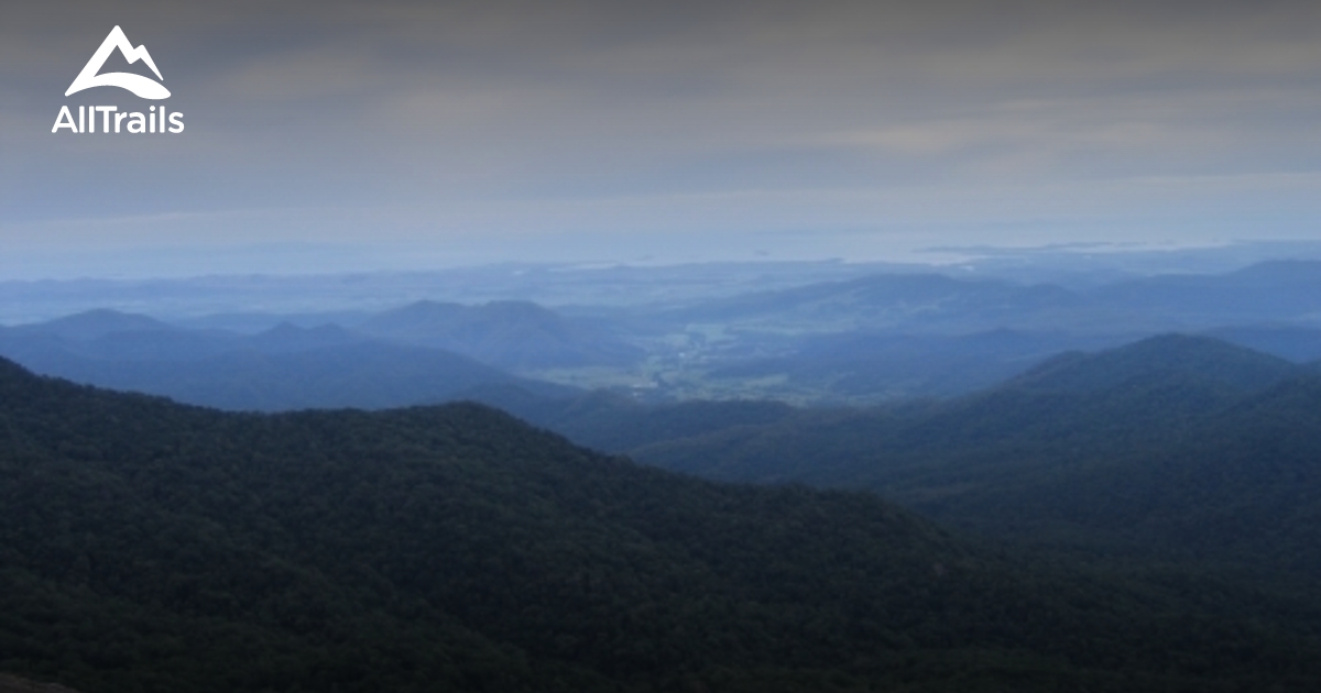 Best Trails in Eungella National Park - Queensland, Australia | AllTrails