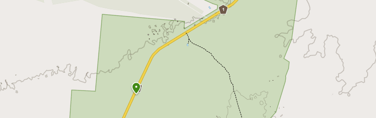 Forty Mile Scrub National Park : Meilleurs itinéraires | AllTrails