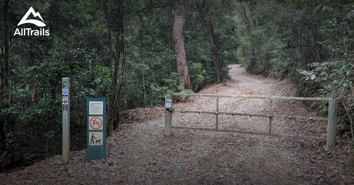 Best Trails in Kuranda National Park - Queensland, Australia | AllTrails