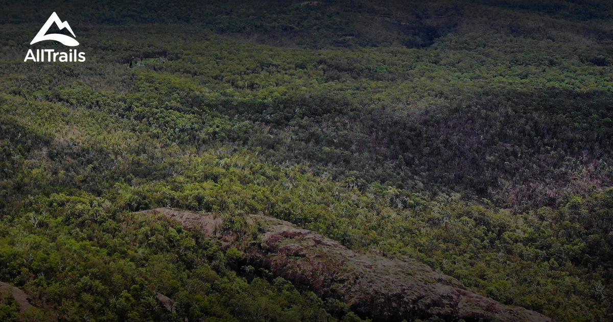 Nationaal Park Millstream Falls: de beste routes om te wandelen | AllTrails