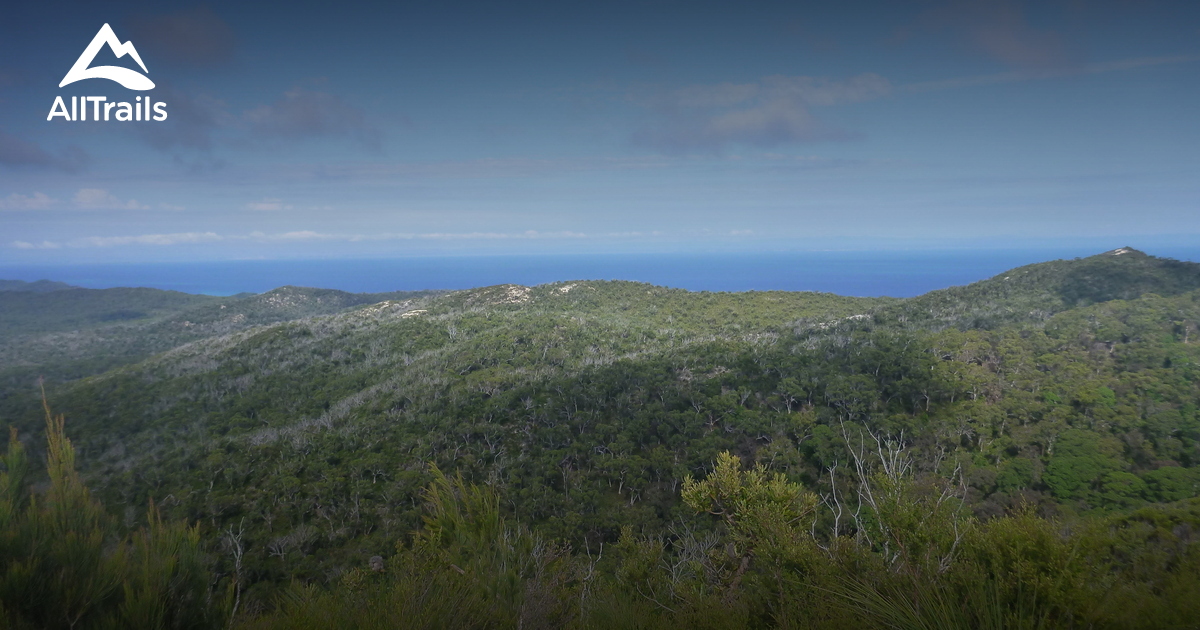 Best camping trails in Moreton Island National Park | AllTrails