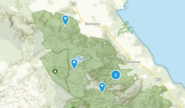 Best Trails in Paluma Range National Park - Queensland, Australia ...