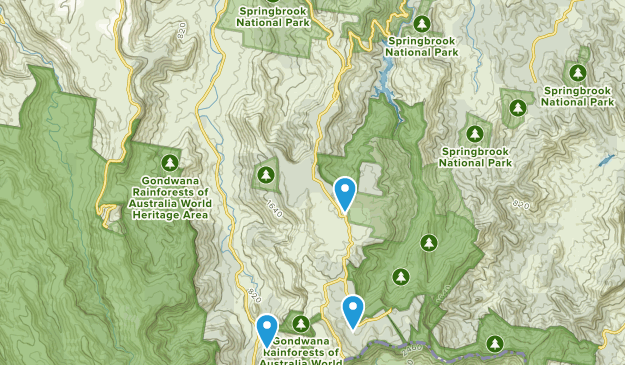 Best Trails in Springbrook National Park - Queensland, Australia ...
