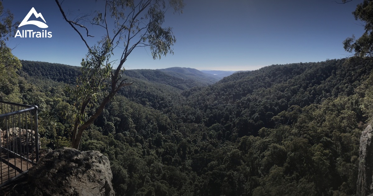 Best Trails in Springbrook National Park - Queensland, Australia ...