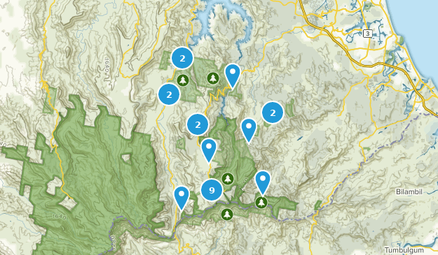 Best Trails in Springbrook National Park - Queensland, Australia ...