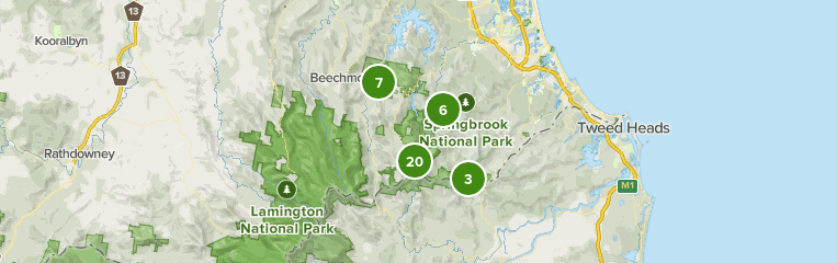 Best trails in Springbrook National Park, Australia | AllTrails