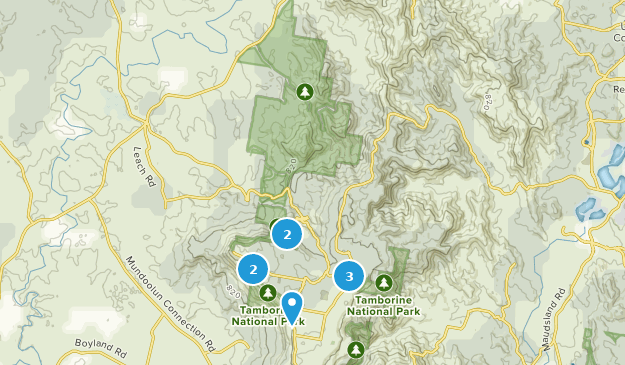 Best Trails in Tamborine National Park - Queensland, Australia | AllTrails