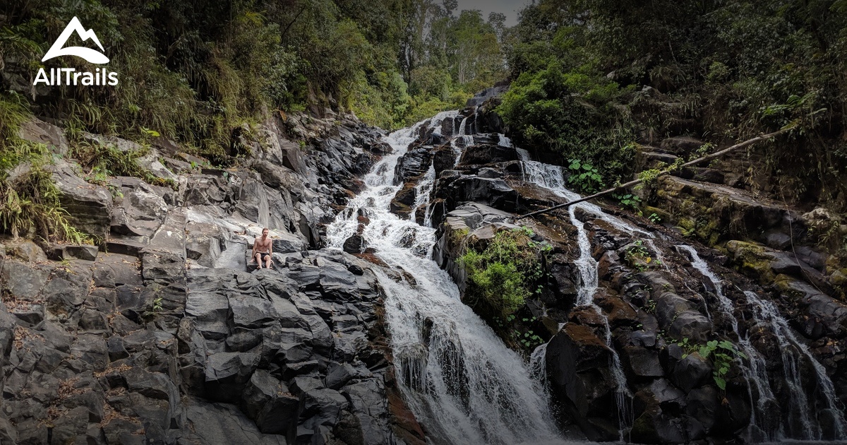 Best Trails in Tully Falls National Park - Queensland, Australia ... Best Trails in Tully Falls National Park - Queensland, Australia ...