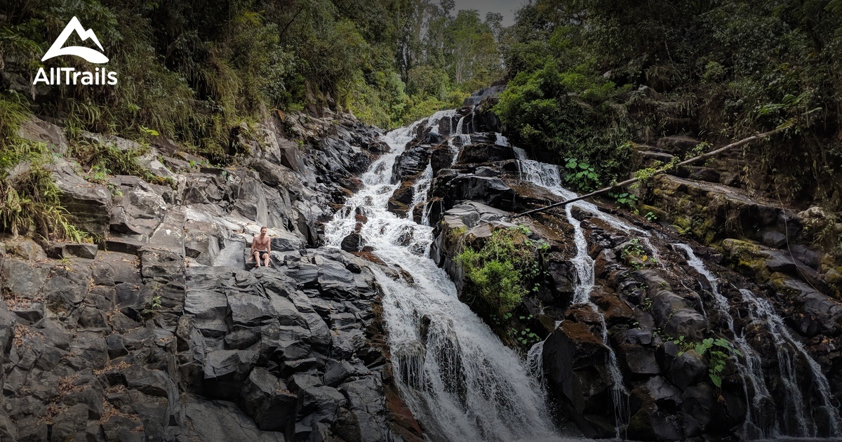 Best bird watching trails in Tully Falls National Park | AllTrails