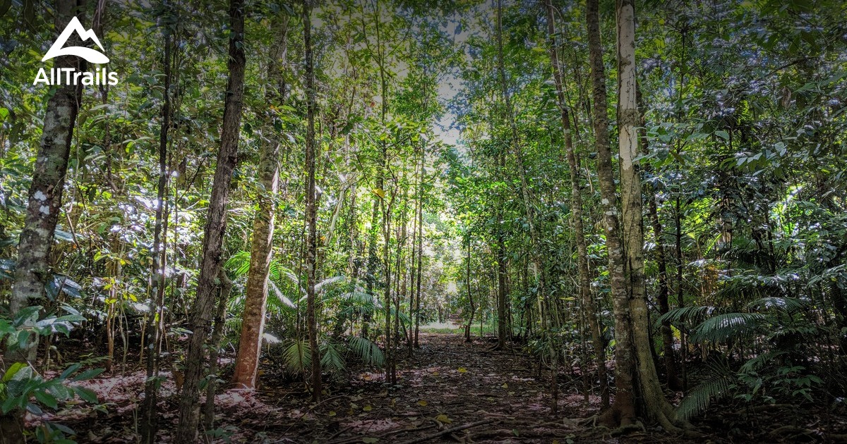 Best Trails in Tully Gorge National Park - Queensland, Australia ...