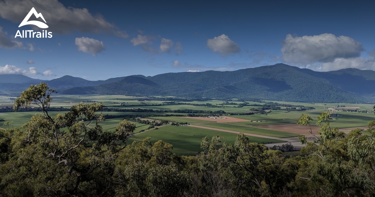 Best Trails in Wooroonooran National Park - Queensland, Australia ...