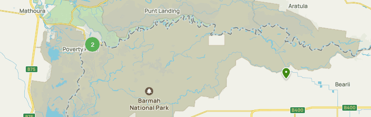 Best Hikes and Trails in Barmah National Park | AllTrails