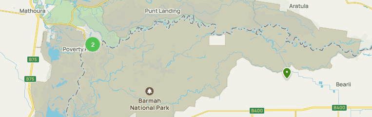 Best Hikes and Trails in Barmah National Park | AllTrails