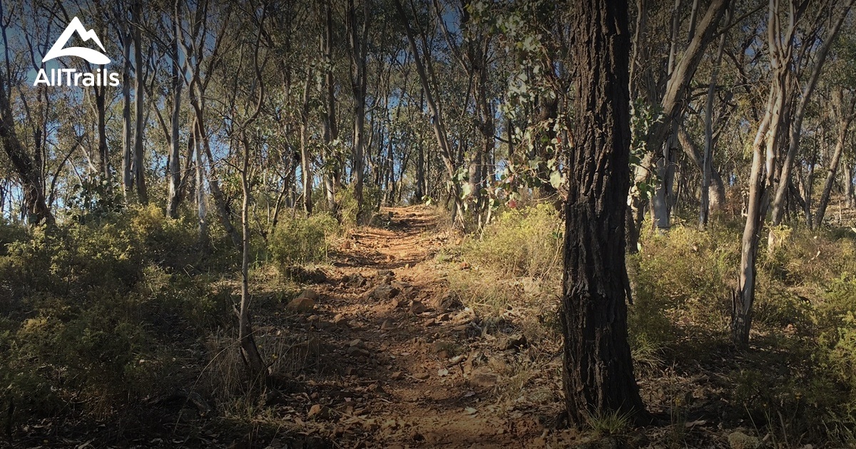 Best Trails in Chiltern-Mount Pilot National Park - Victoria, Australia ...