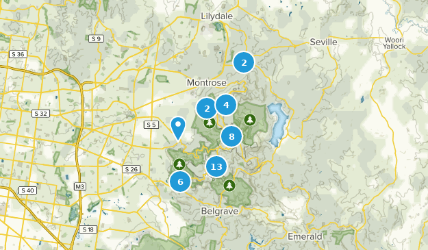 Best Trails in Dandenong Ranges National Park - Victoria, Australia ...