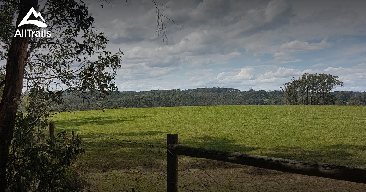 Best Trails in Kinglake National Park - Victoria, Australia | AllTrails