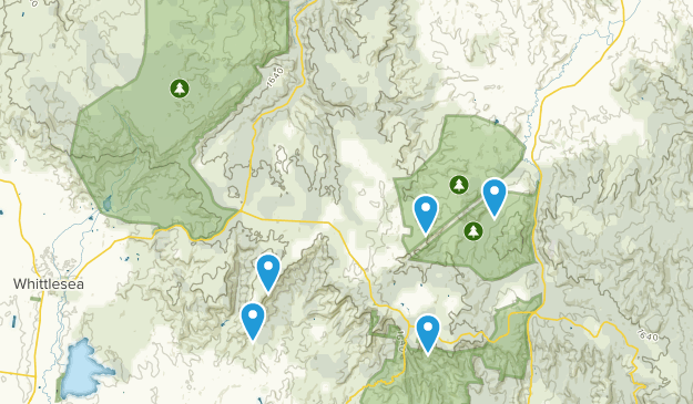 Best Trails in Kinglake National Park - Victoria, Australia | AllTrails
