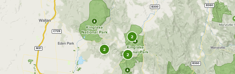 Best Trails in Kinglake National Park - Victoria, Australia | AllTrails