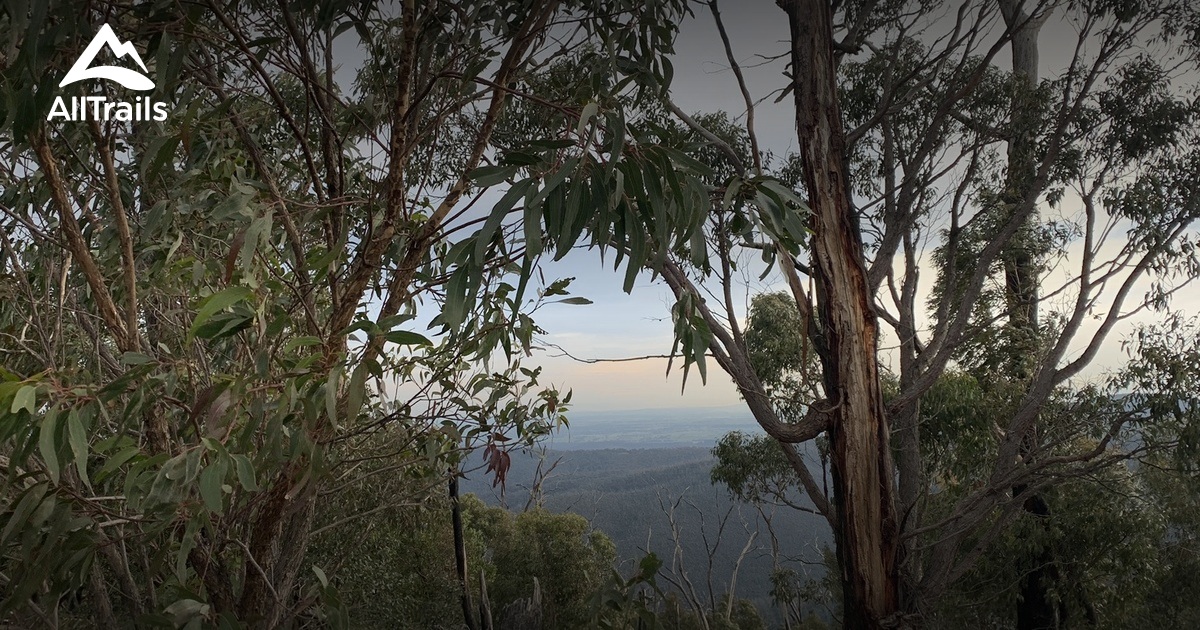 10 Best hikes and trails in Kinglake National Park | AllTrails