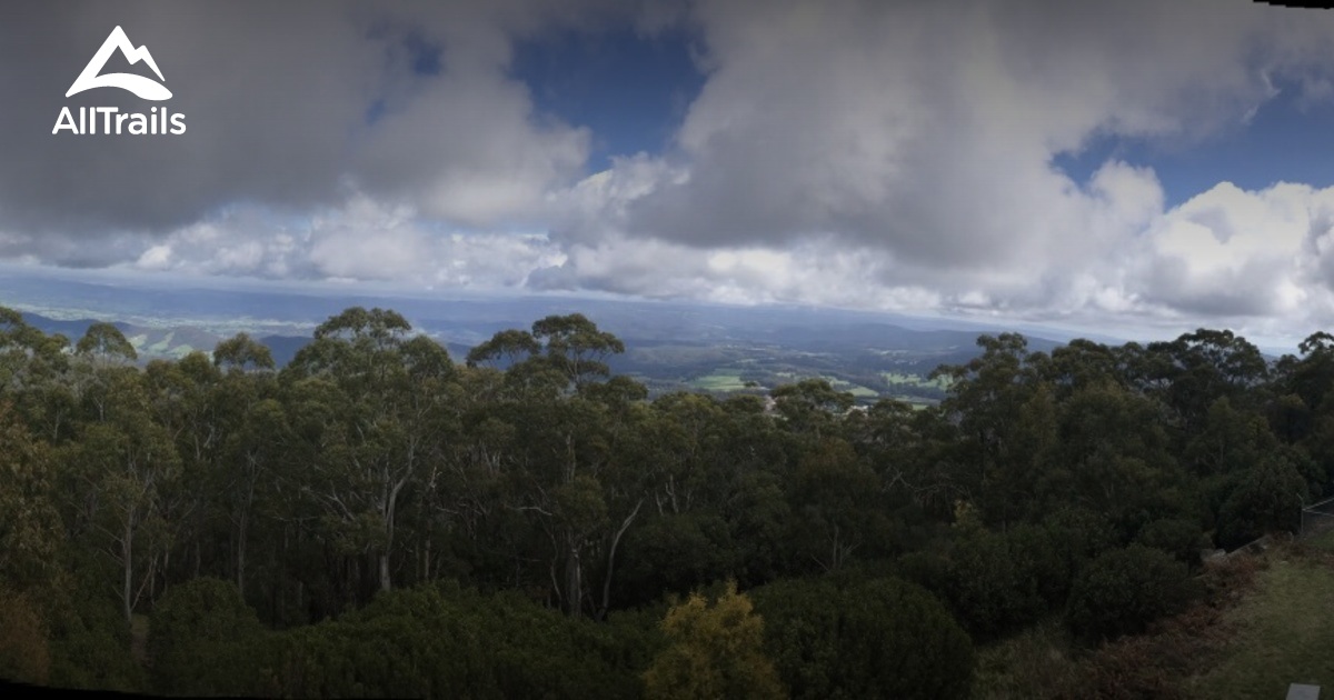 Best Trails in Yarra Ranges National Park - Victoria, Australia | AllTrails