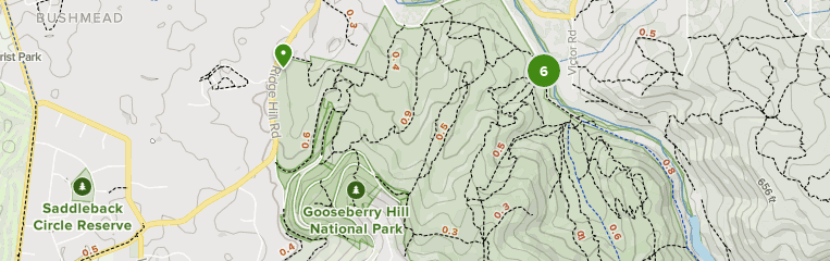 Best Trails in Gooseberry Hill National Park | AllTrails